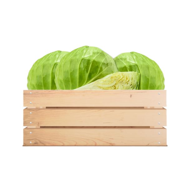 Caja Repollo Liso 3 un. | FREST - Mercado Saludable - Santiago de Chile