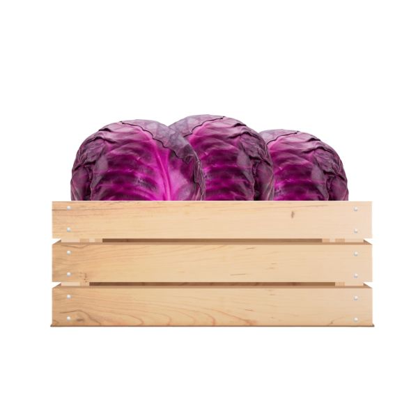 Caja Repollo Morado 3 un | FREST - Mercado Saludable - Santiago de Chile